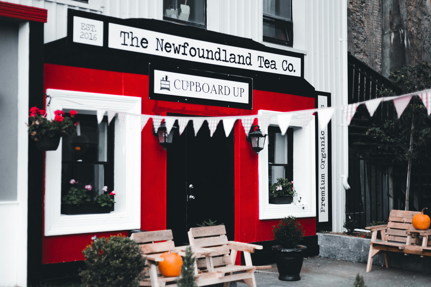 How to Build a Community and Network When You Move to Canada – NA-VI Living